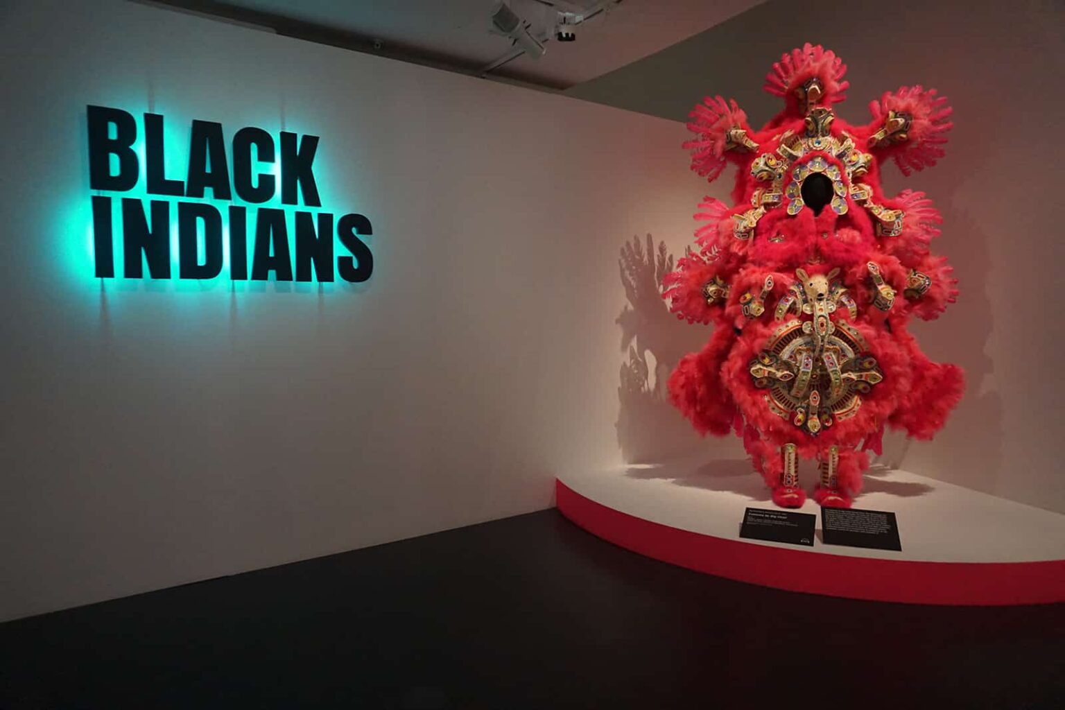 Black Indians from New Orleans - Musée du Quai Branly - Marion de Castilla